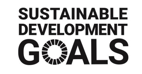 SDGsや環境負荷に配慮したカード製品3選 | プラスチックカード印刷・作成の専門店 バズ・プランニング